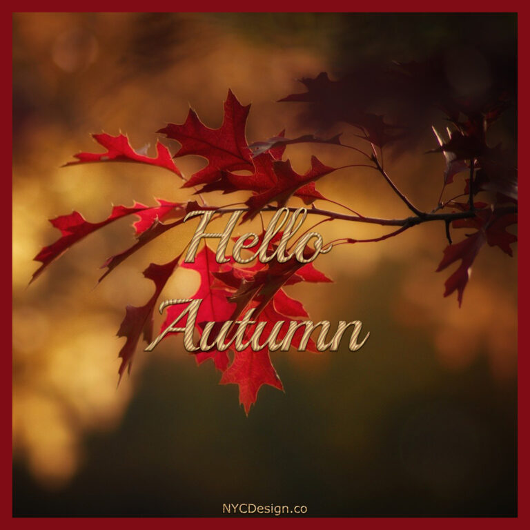 Hello Autumn Images, Captions & Quotes – NYCDesign.co: Printable Things