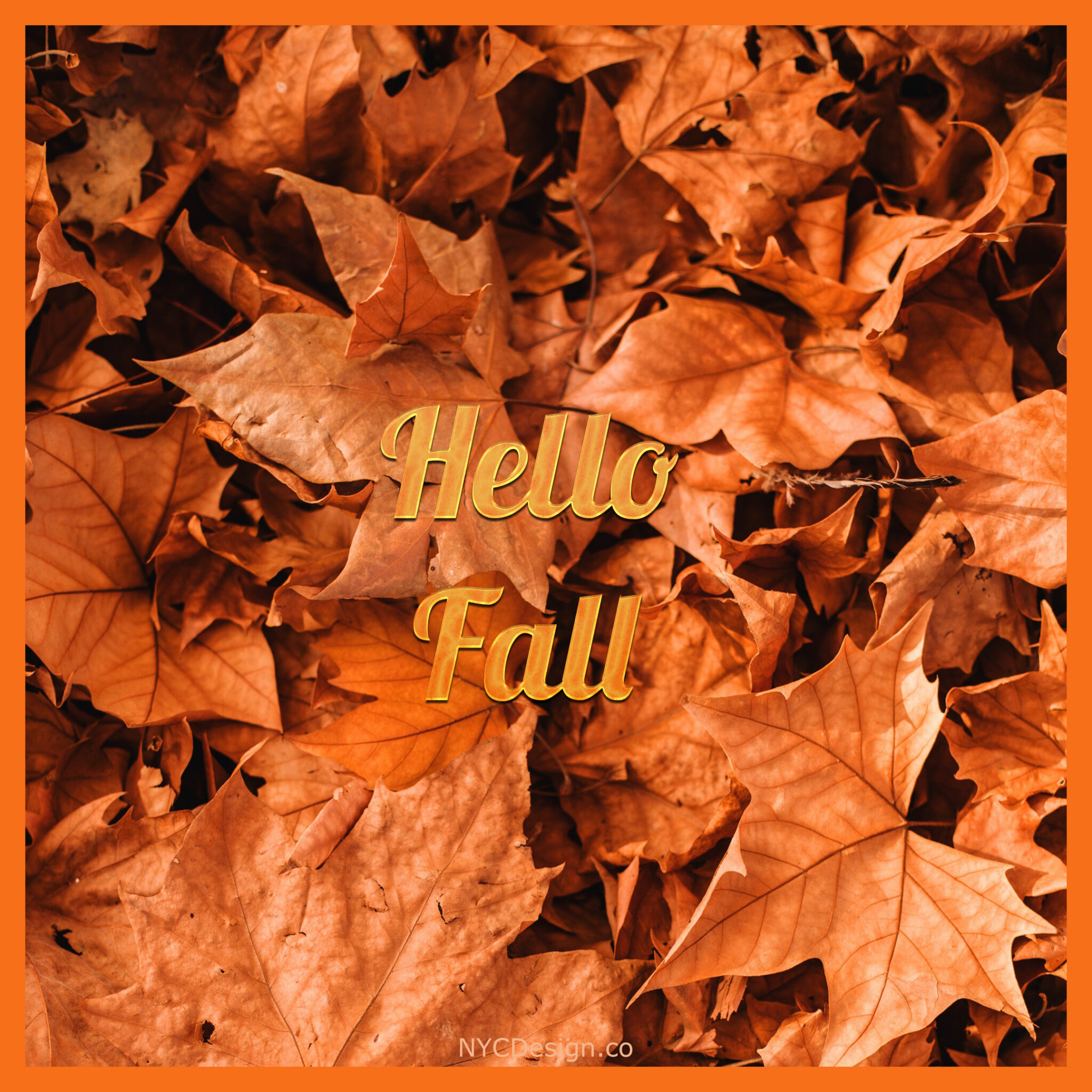 Hello Fall Images, Captions & Quotes – NYCDesign.co: Printable Things
