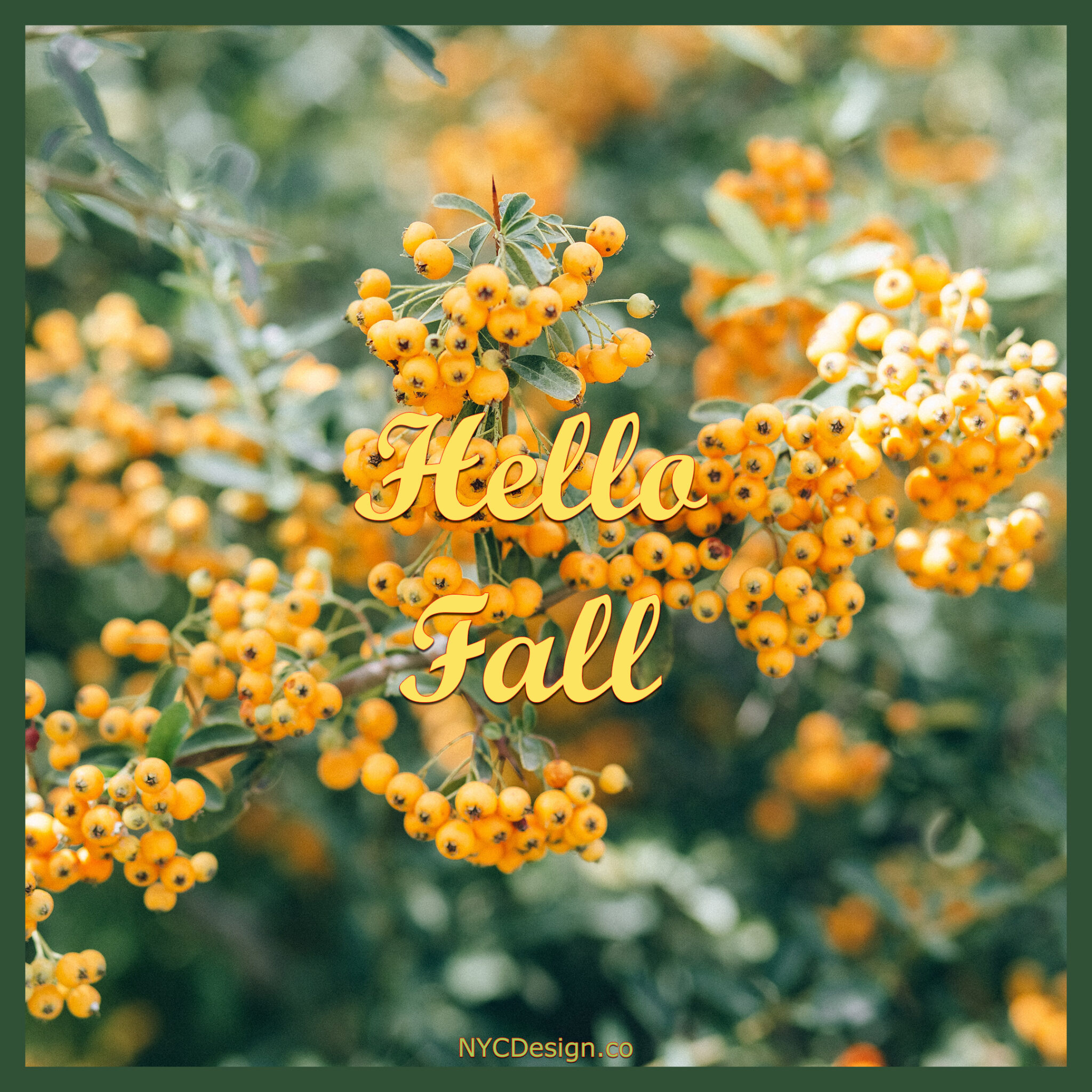 Hello Fall Images, Captions & Quotes – NYCDesign.co: Printable Things