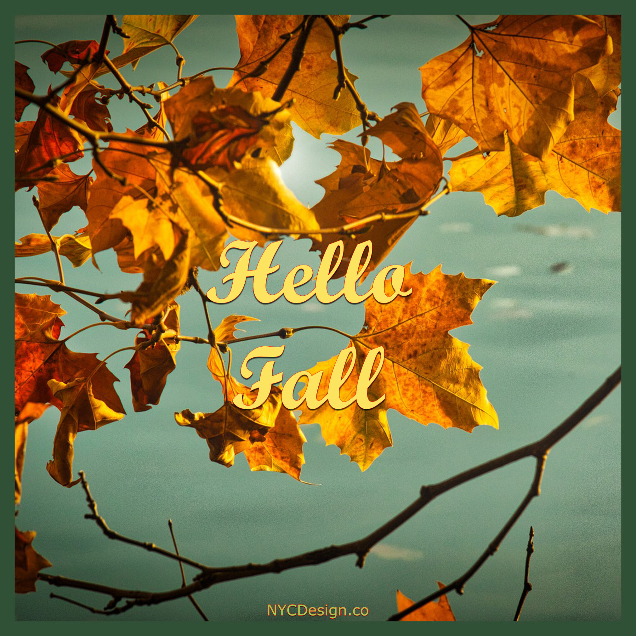 Hello Fall Images, Captions & Quotes – NYCDesign.co: Printable Things