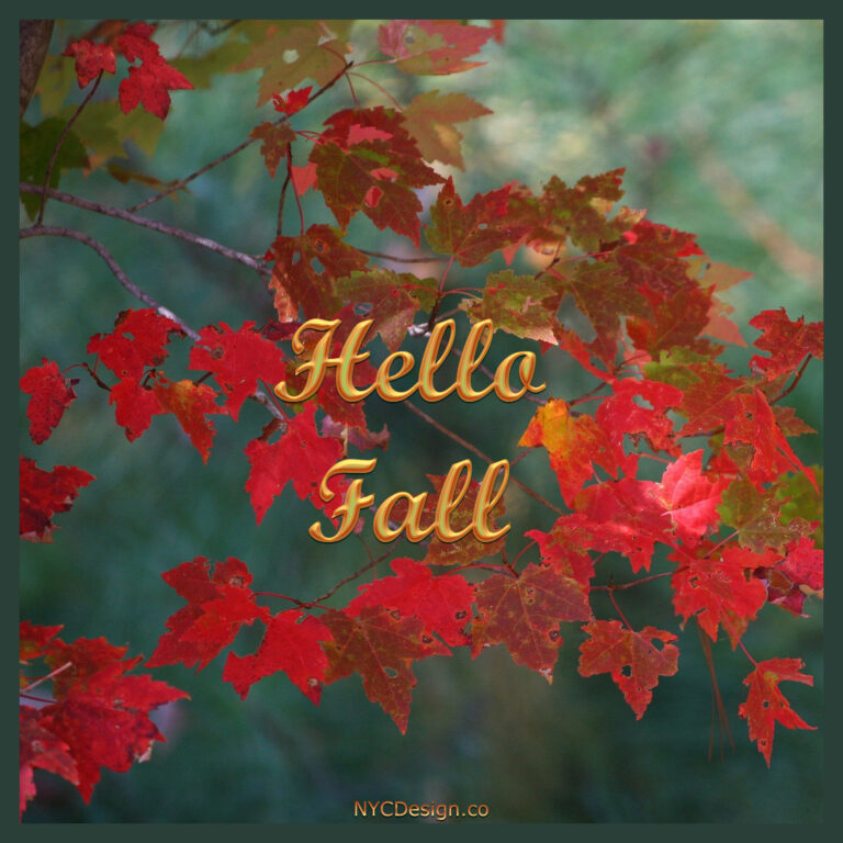 Hello Fall Images, Captions & Quotes – NYCDesign.co: Printable Things