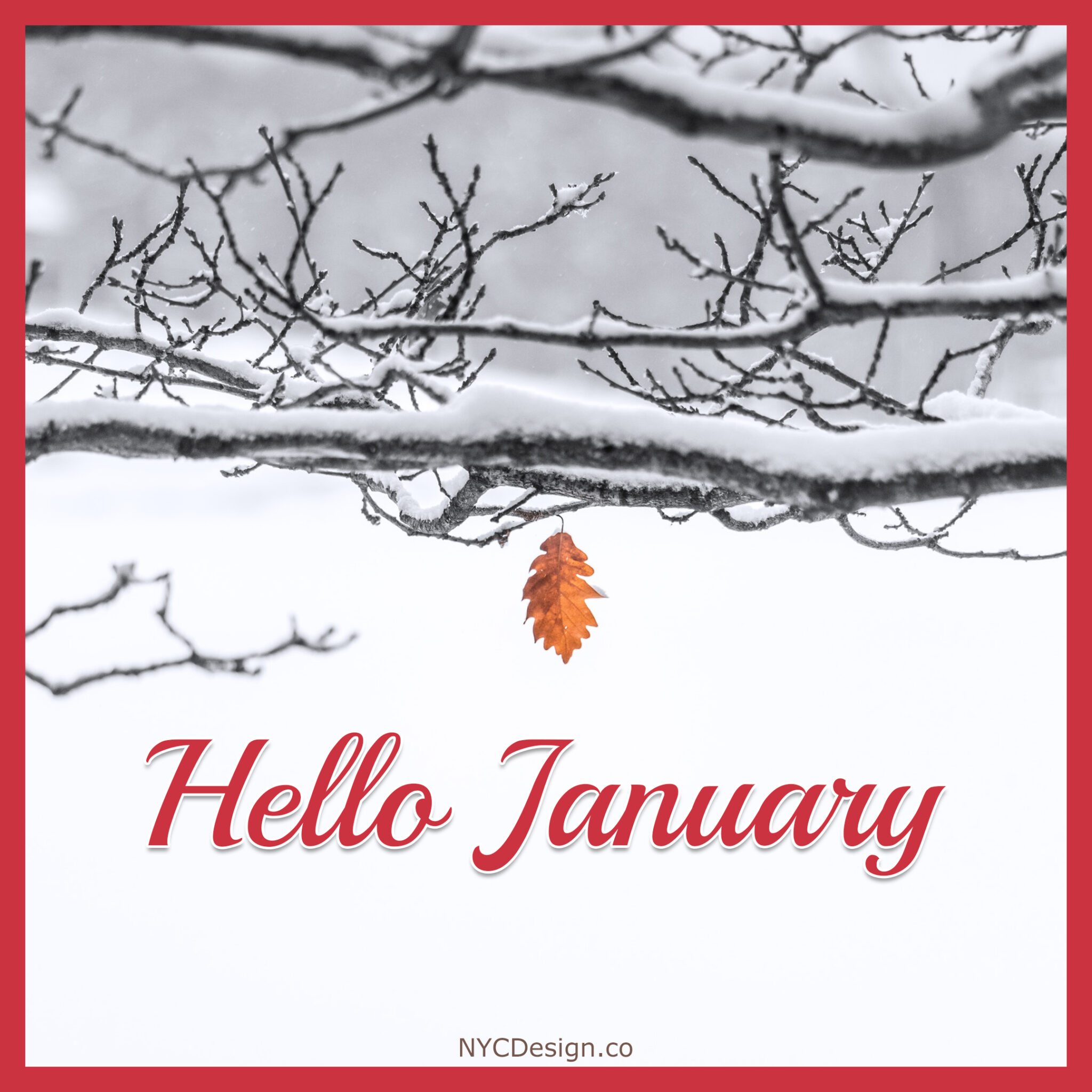 Hello January Images for Instagram and Facebook – NYCDesign.co ...