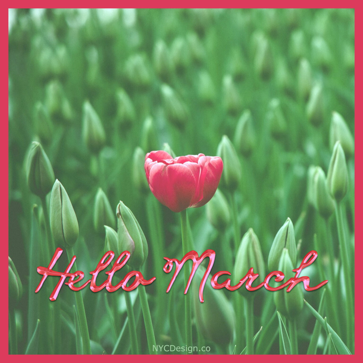 Hello March Images for Instagram and Facebook – NYCDesign.co: Printable ...