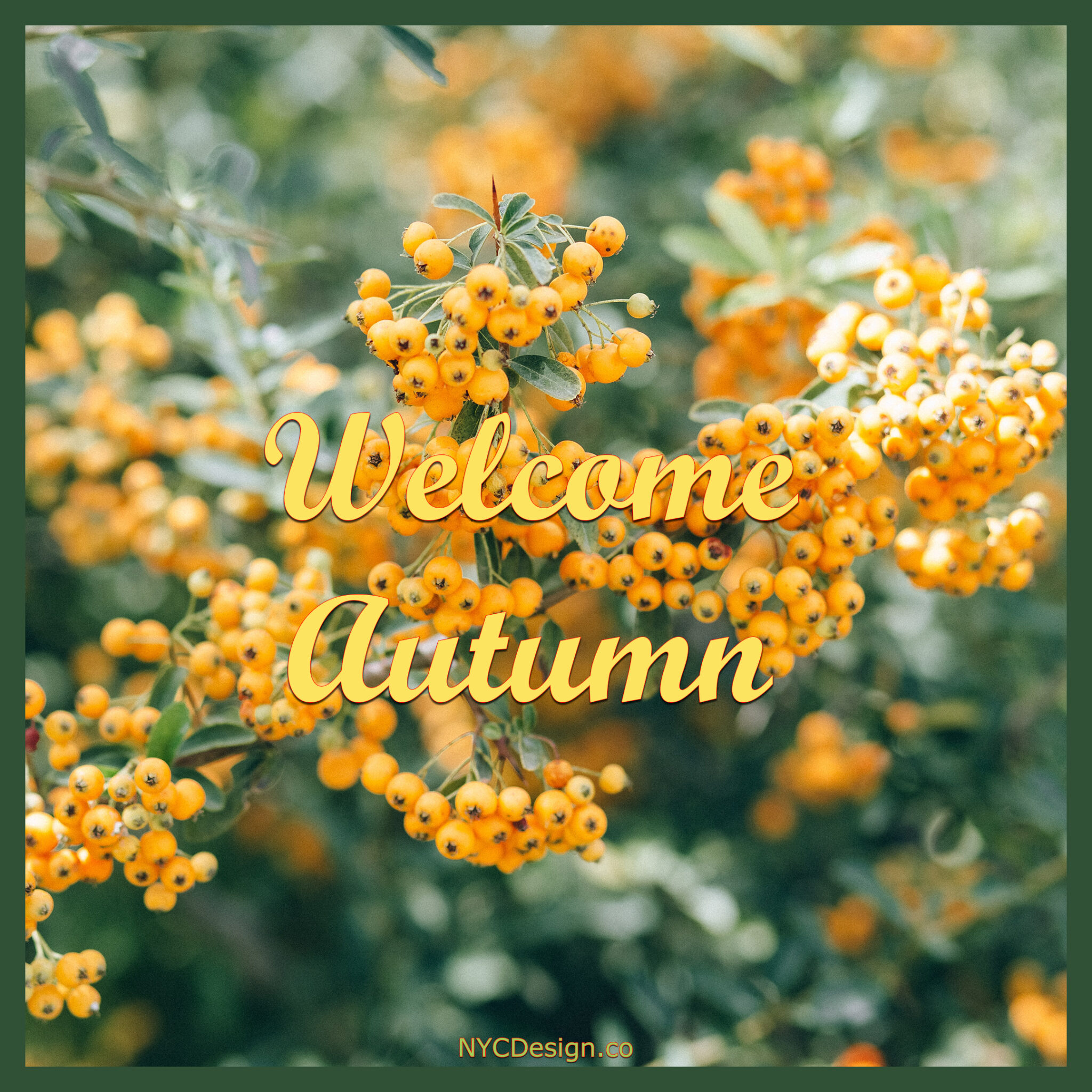 Welcome Autumn Images, Captions & Quotes – NYCDesign.co: Printable Things