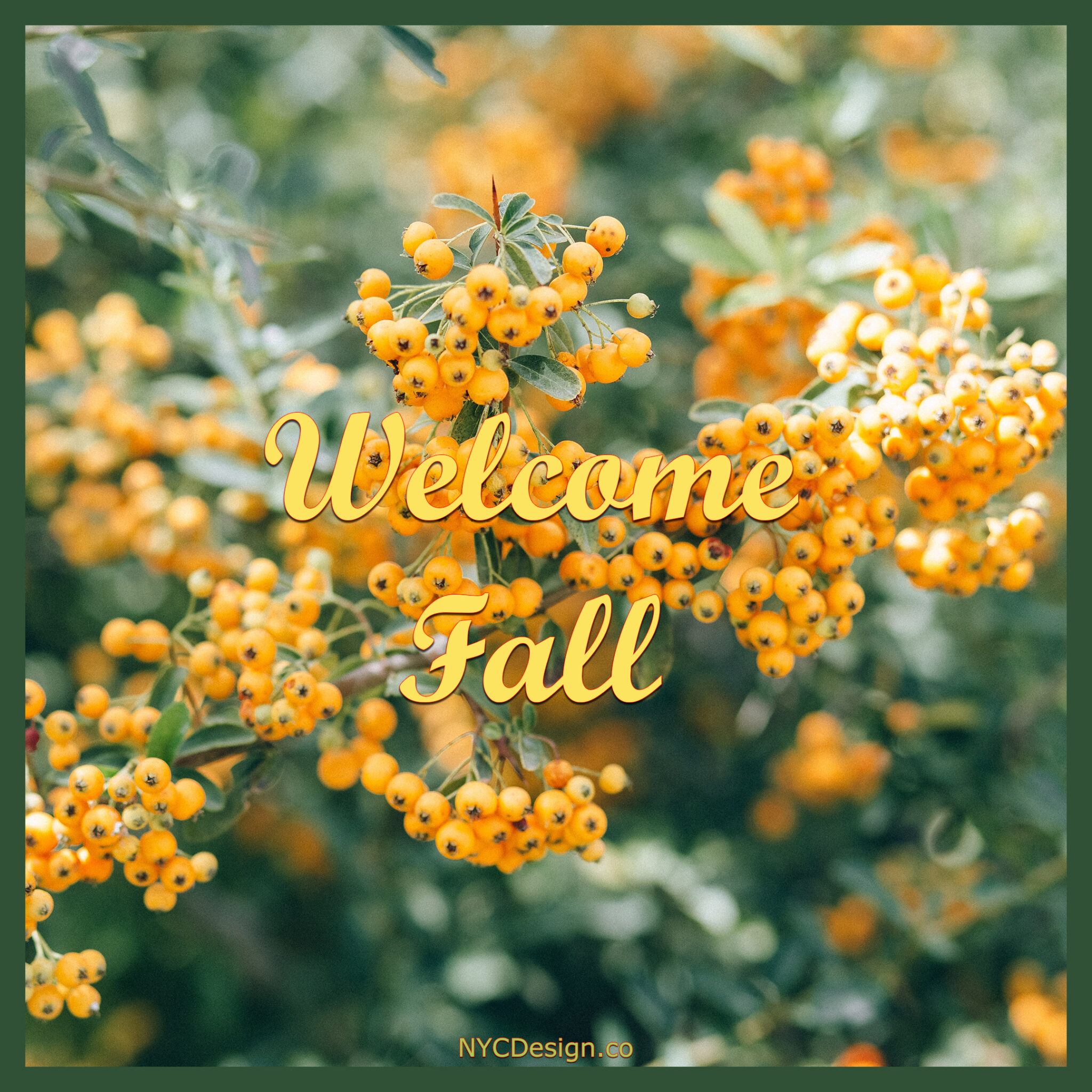 Welcome Fall Images, Captions & Quotes – NYCDesign.co: Printable Things