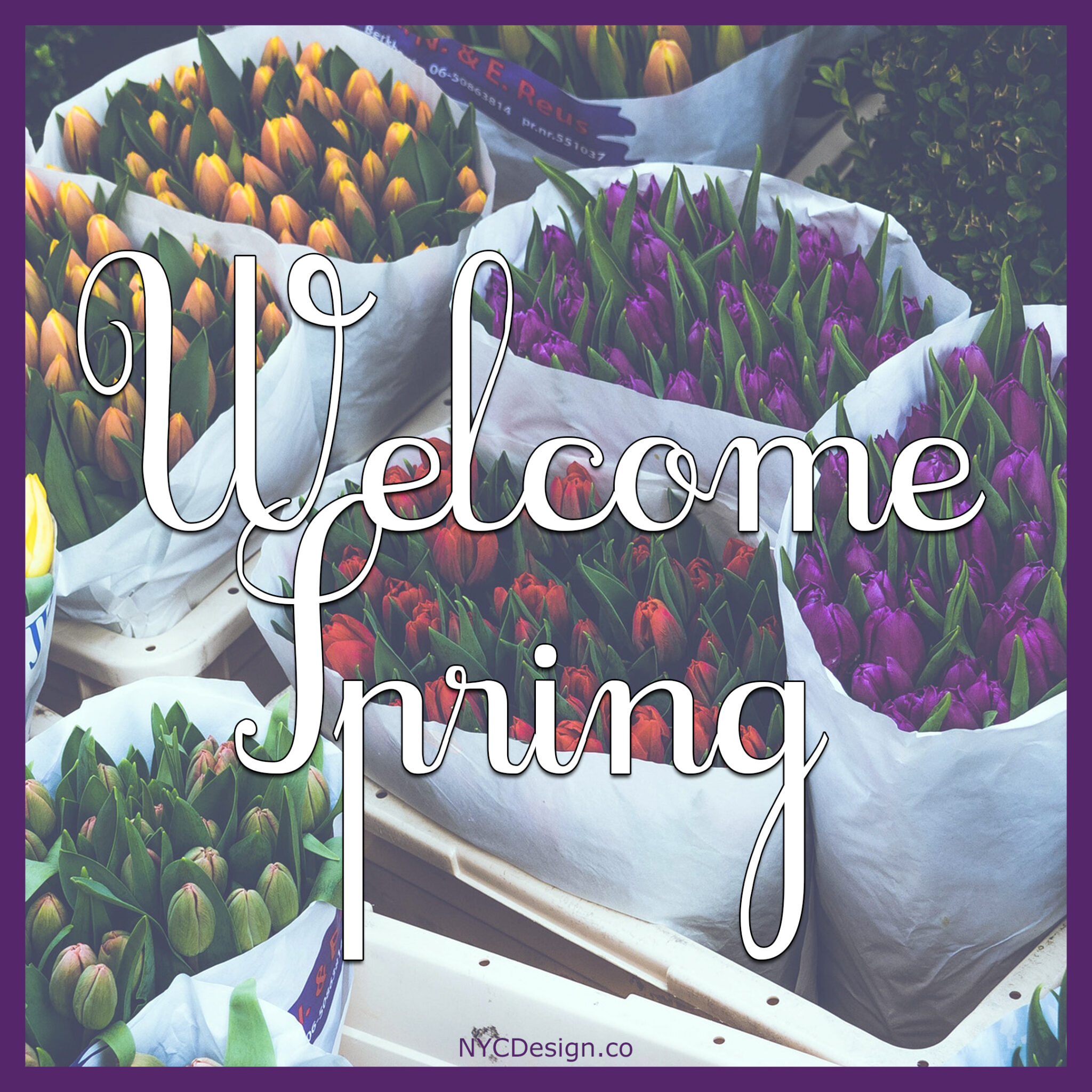 Welcome Spring Images, Captions & Quotes – NYCDesign.co: Printable Things