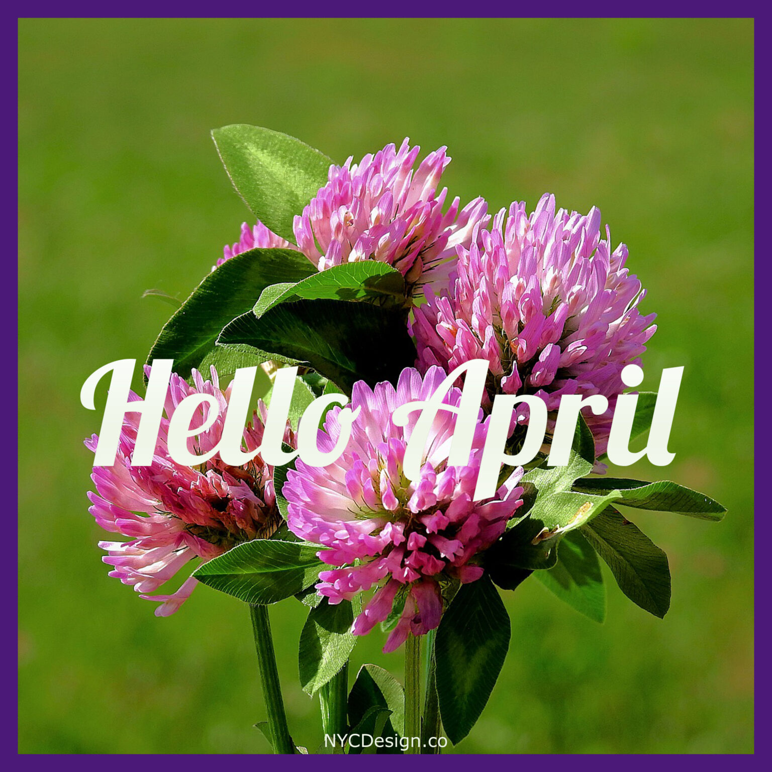 Hello April Images for Instagram and Facebook – NYCDesign.co: Printable ...