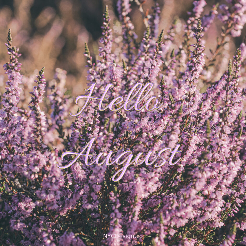 Hello August Images for Instagram and Facebook – NYCDesign.co ...