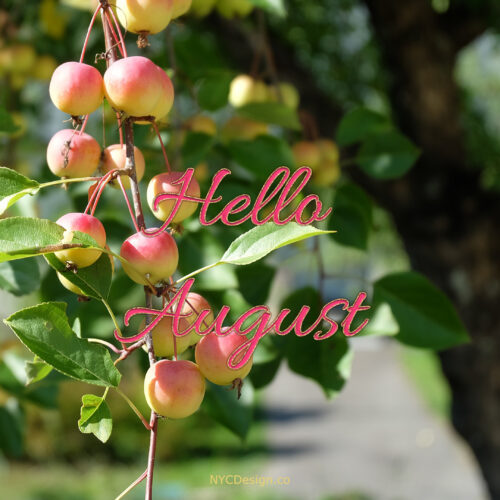 Hello August Images for Instagram and Facebook – NYCDesign.co ...