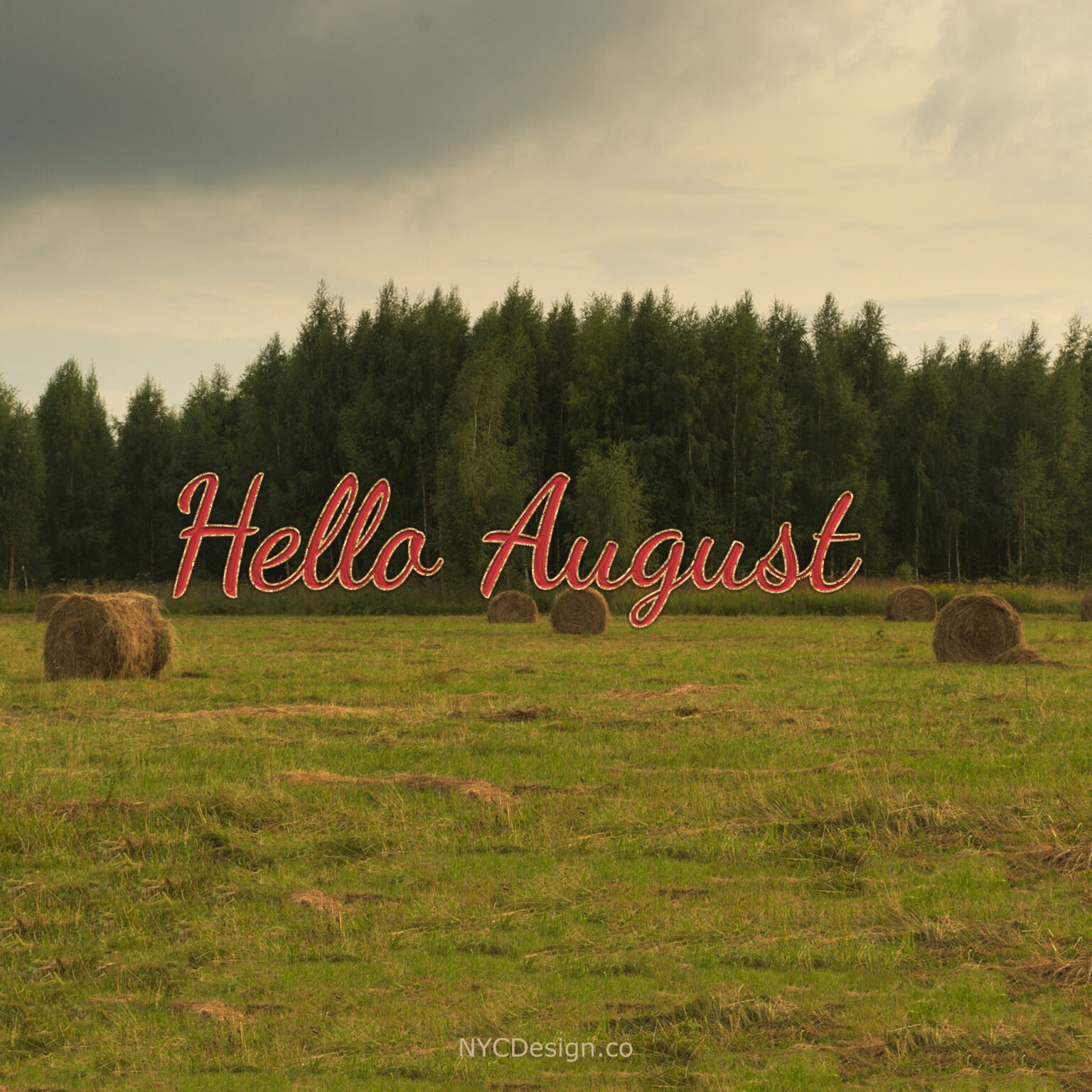 Hello August Images for Instagram and Facebook – NYCDesign.co ...