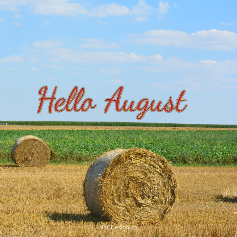 Hello August Images for Instagram and Facebook – NYCDesign.co ...