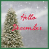 Hello December Images for Instagram and Facebook – NYCDesign.co ...