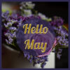 Hello May Images for Instagram and Facebook – NYCDesign.co: Printable ...