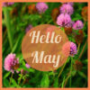 Hello May Images for Instagram and Facebook – NYCDesign.co: Printable ...