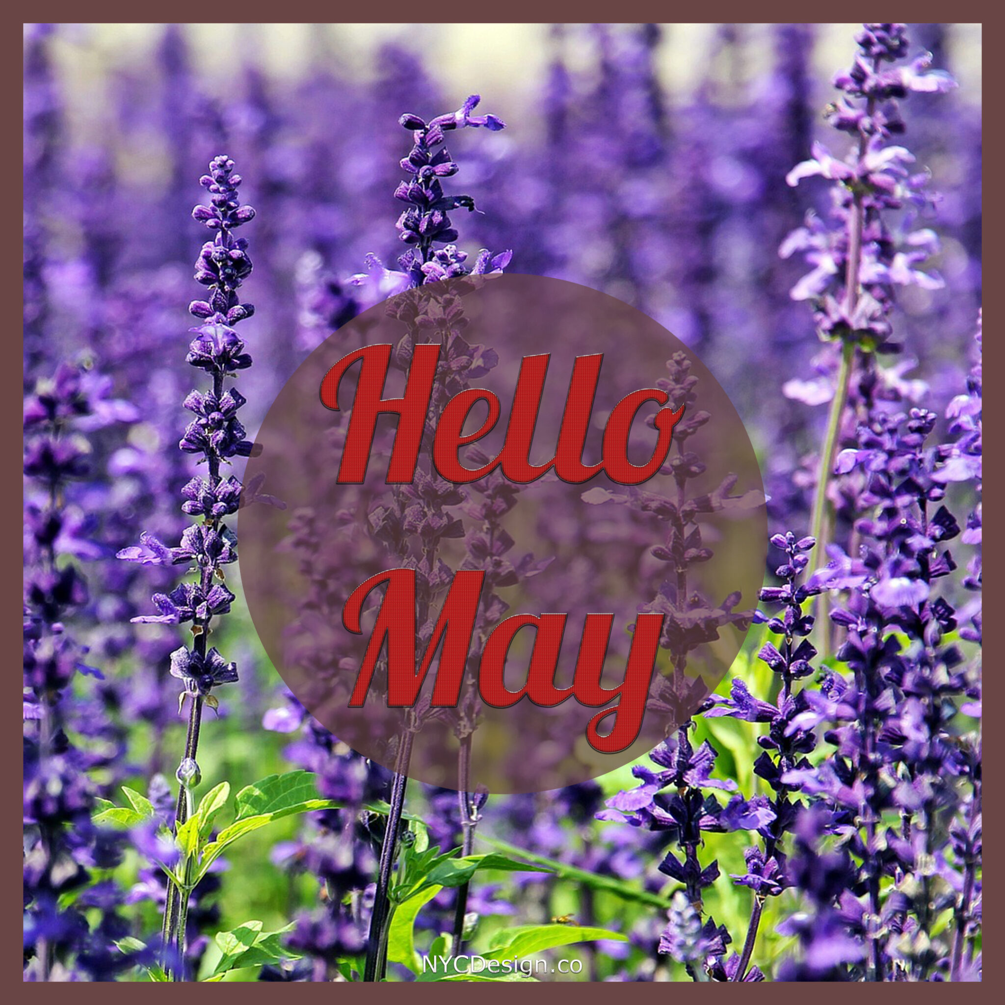 Hello May Images for Instagram and Facebook – NYCDesign.co: Printable ...