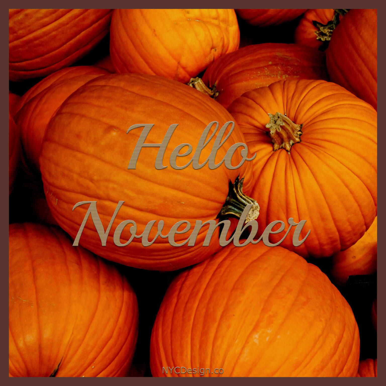 Hello November Images for Instagram and Facebook – NYCDesign.co ...