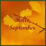 Hello September Images for Instagram and Facebook – NYCDesign.co ...