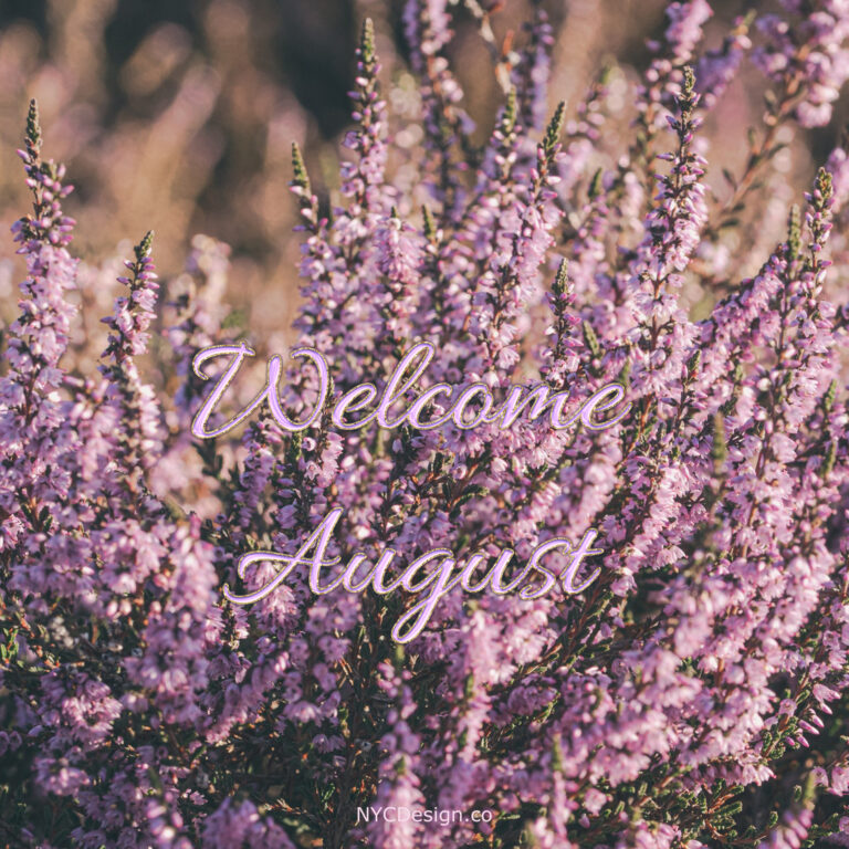 Welcome August Images for Instagram and Facebook – NYCDesign.co ...