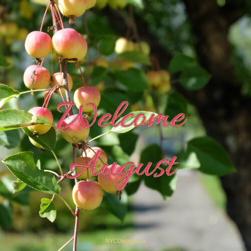 Welcome August Images for Instagram and Facebook – NYCDesign.co ...