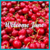 Welcome June Images for Instagram and Facebook – NYCDesign.co ...