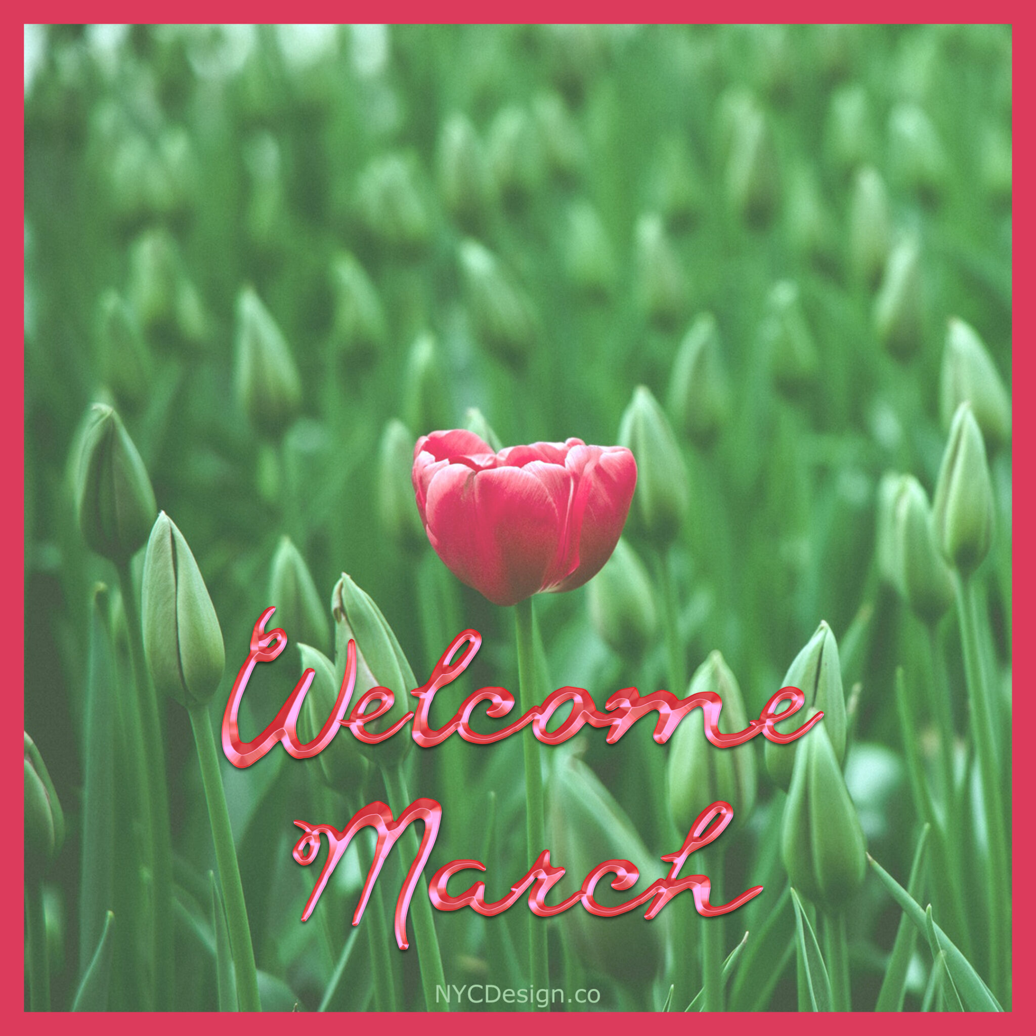 Welcome March Images for Instagram and Facebook – NYCDesign.co ...