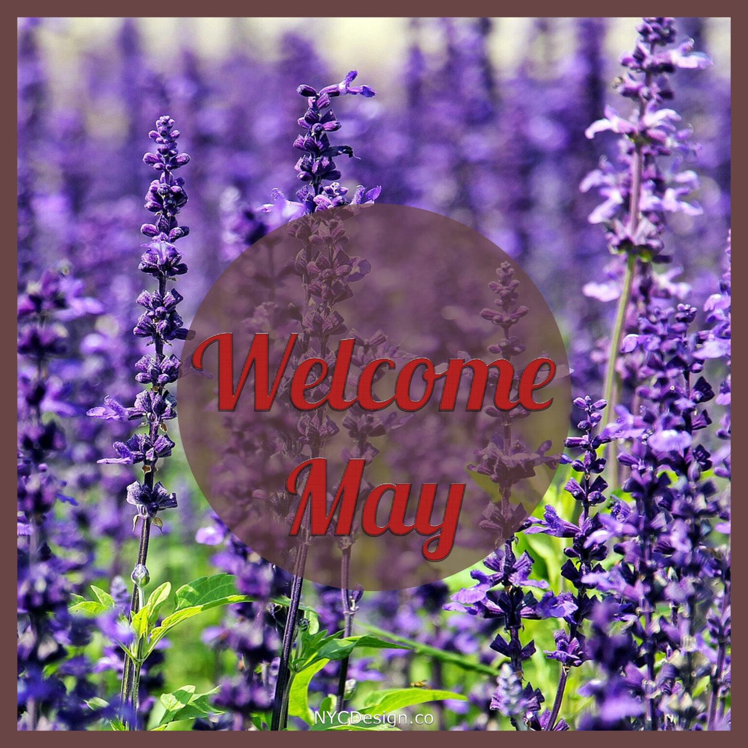 Welcome May Images for Instagram and Facebook – NYCDesign.co: Printable ...