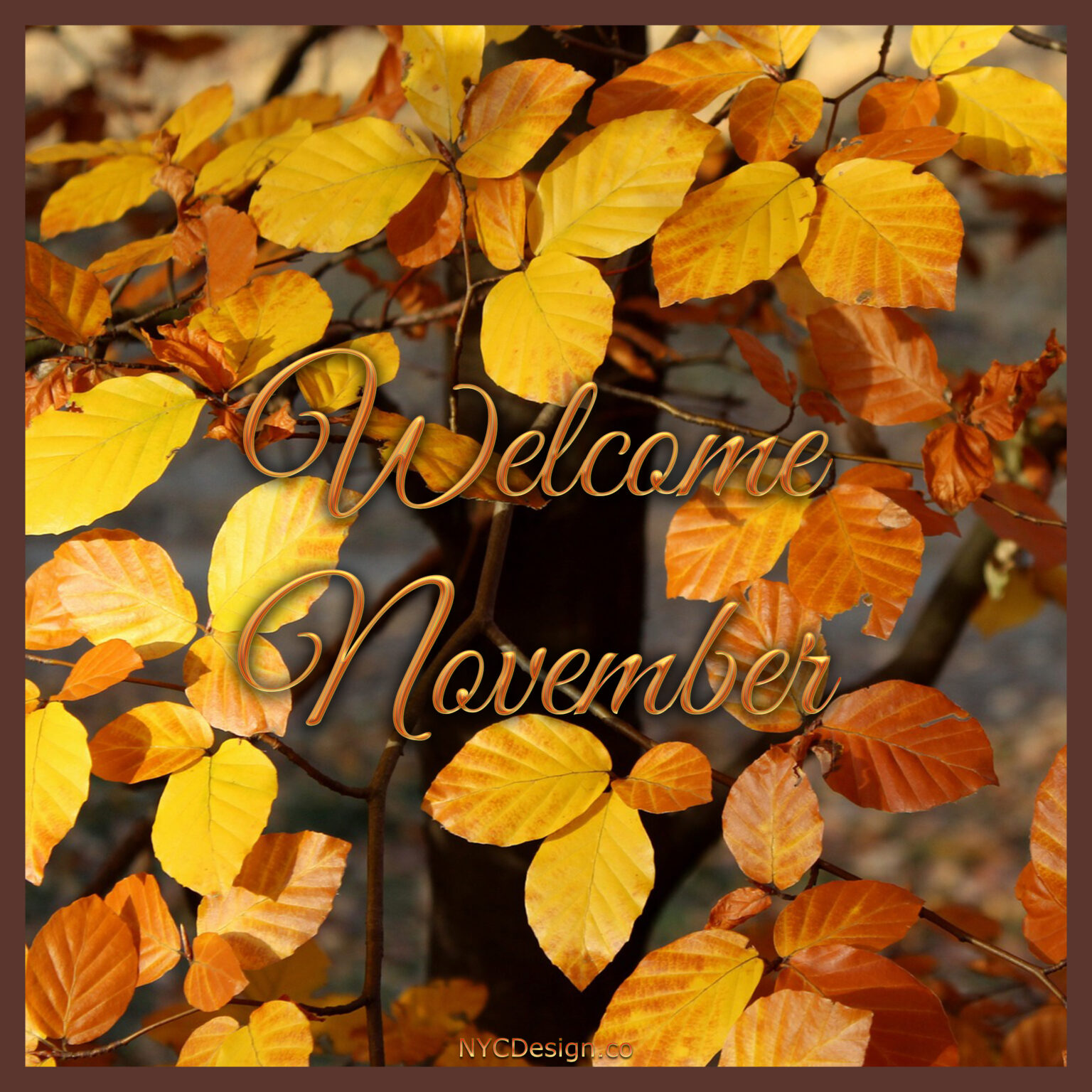 Welcome November Images for Instagram and Facebook – NYCDesign.co ...
