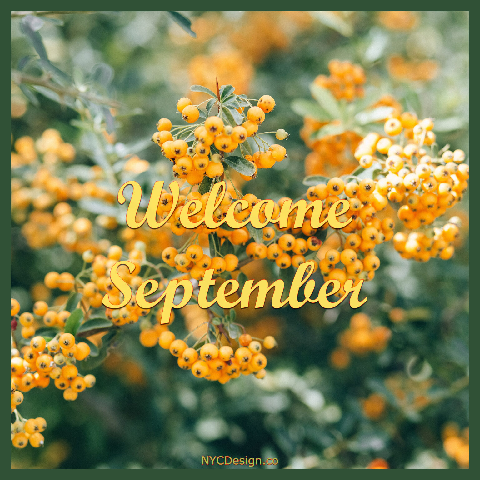 Welcome September Images for Instagram and Facebook – NYCDesign.co ...