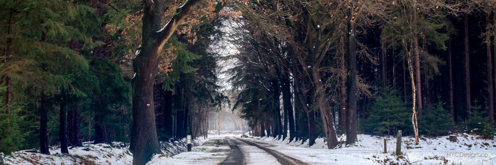 Twitter Headers, Covers – Winter Wonderland – NYCDesign.co: Printable ...